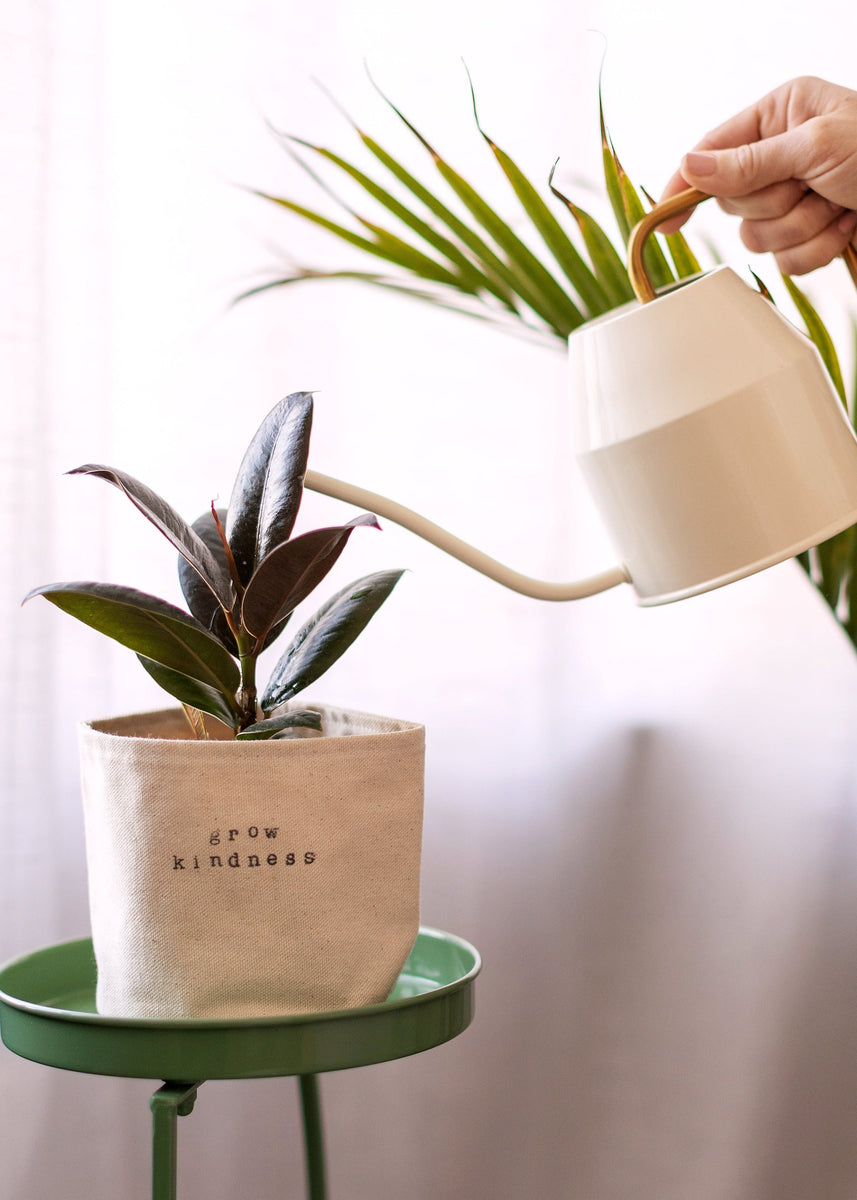 Grow Kindness Planter – NICHE Boutique